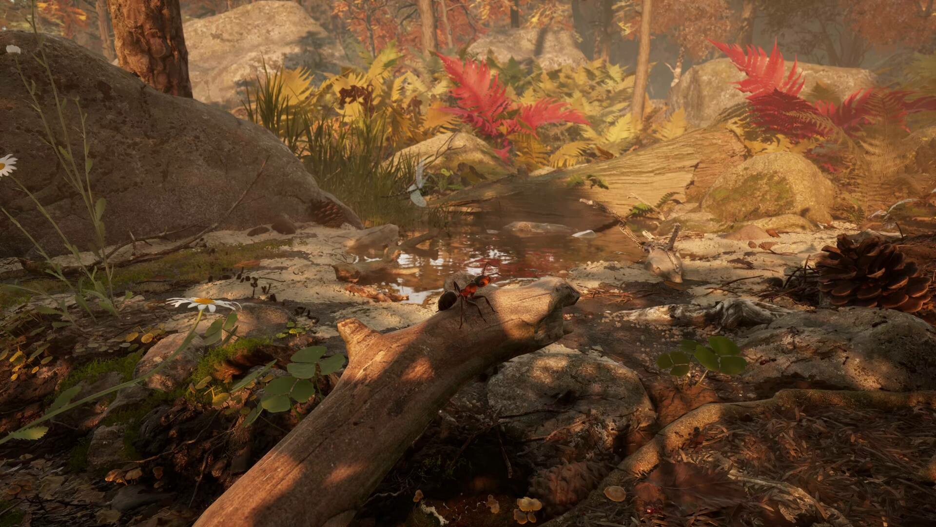 Empire of the Ants Best Upgrades Guide- Essential Upgrades