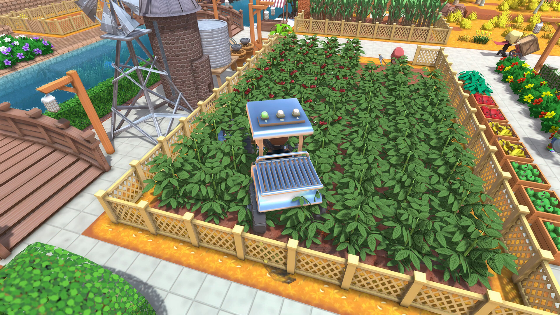 Dinkum Fish Guide - Full List, Seasons, Times, Location